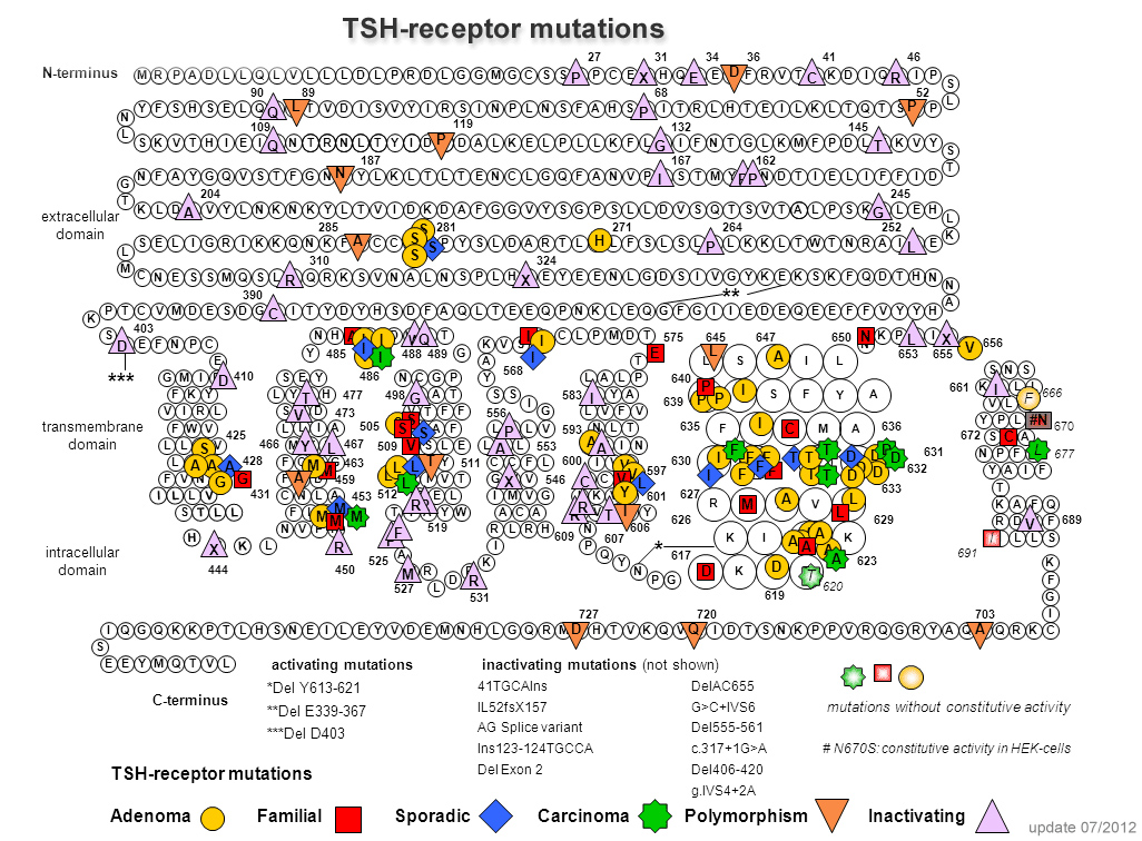 The TSHR Database | The Paschke & Eszlinger Lab